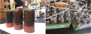 Research – Soil Biogeochemistry Lab